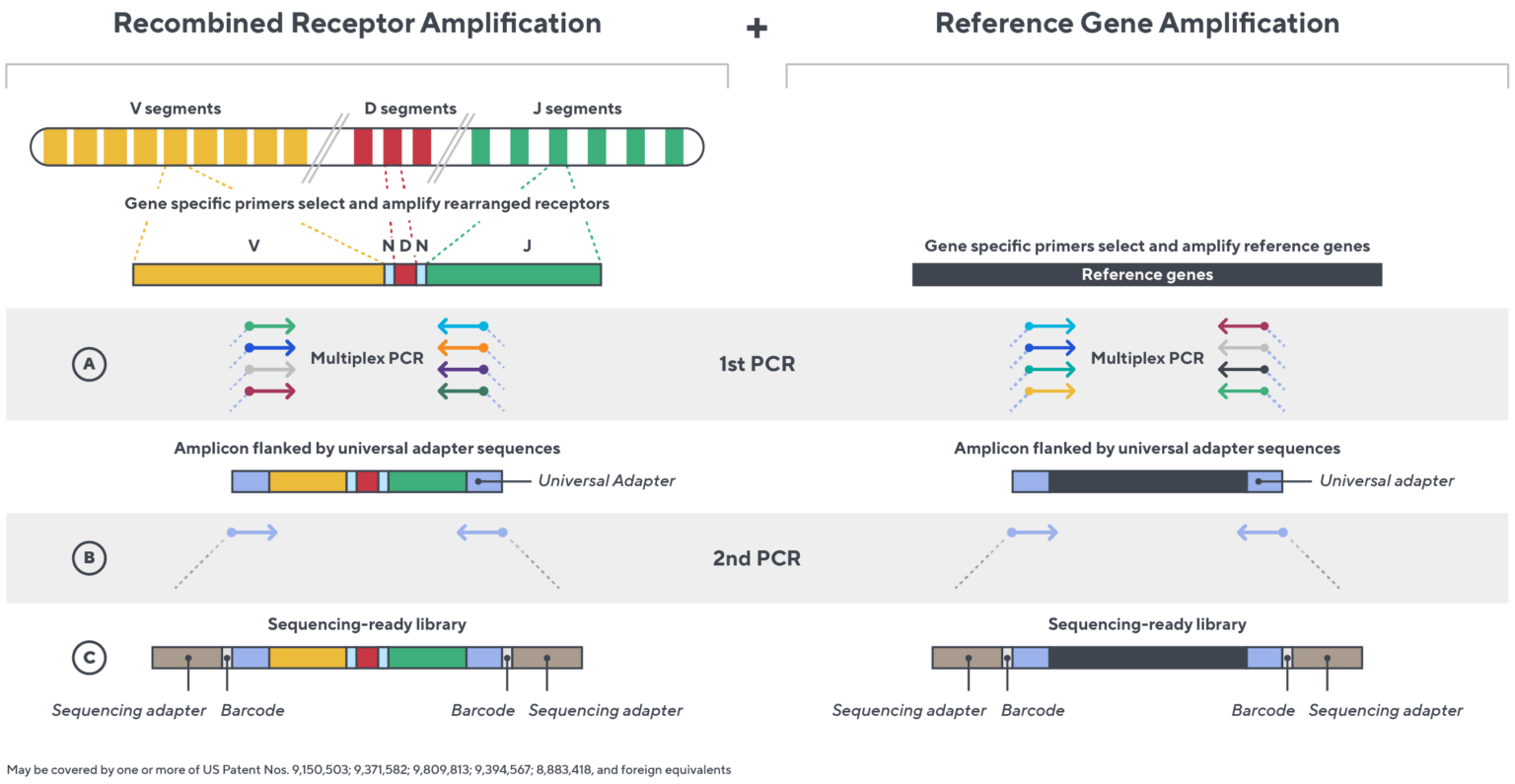 Adaptive Immunosequencing - Adaptive Biotech
